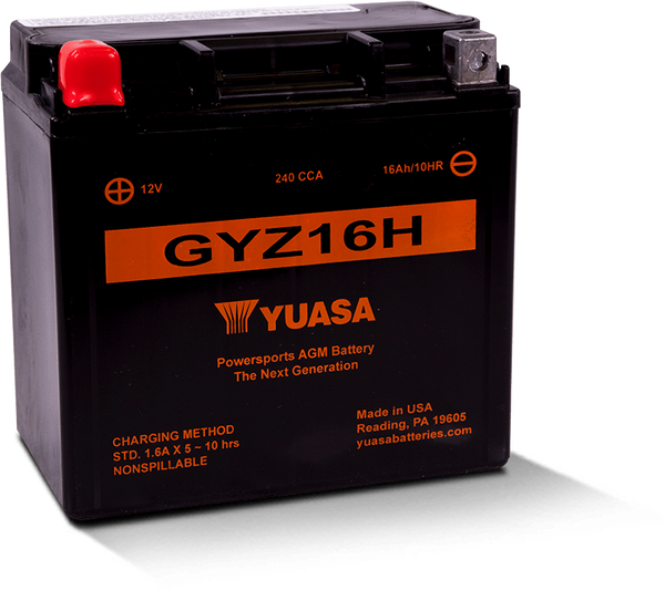 Yuasa GYZ16H High Performance Maintenance Free AGM 12-Volt Battery ...